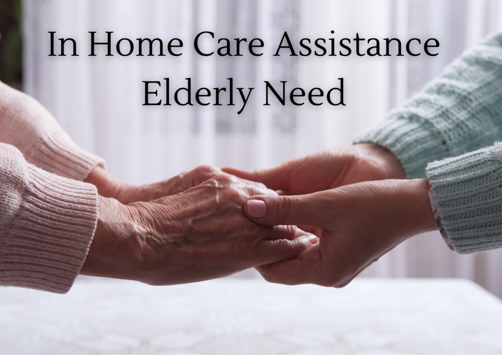 In Home Care Assistance Elderly Need - SR Parents